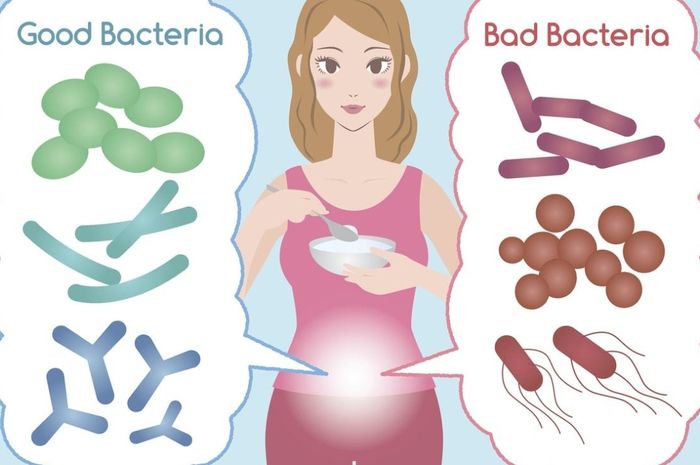 Cukupi Kebutuhan Prebiotik Harian, Terlebih Bagi Ibu Hamil, Ini ...