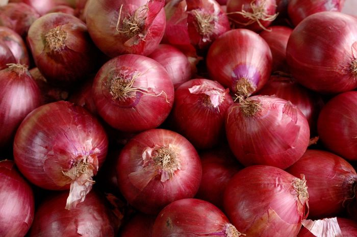 Coba-Coba Oleskan Bawang Merah ke Leher Sebelum Tidur, Sekeluarga Syok ... Coba-Coba Oleskan Bawang Merah ke Leher Sebelum Tidur, Sekeluarga Syok ...