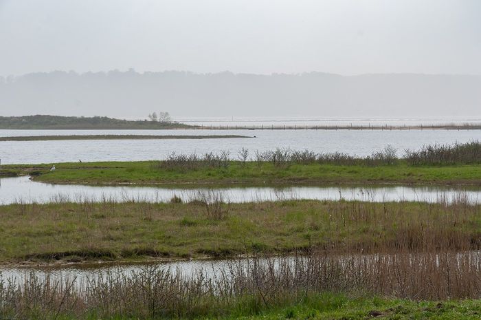 Pengertian Air Payau dan Mengenal Karakteristik serta Penjelasannya ...