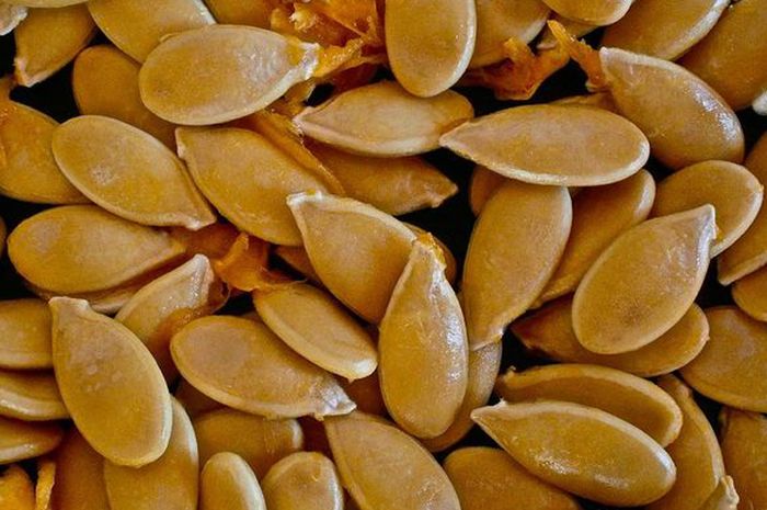 Manfaat Makan Biji Labu Kuning, Kasih ke Suami Setiap Hari Agar Gak ...