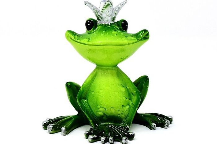 Organ-Organ Peredaran Darah pada Hewan Katak, Materi Kelas 5 SD Tema 4 ...