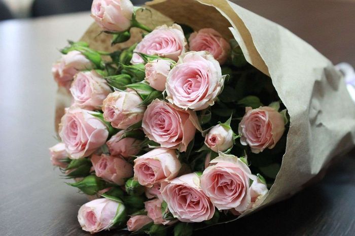 Cara Menanam Bunga Mawar dengan Mudah, Tanaman Hias Cantik di Rumah - Bobo