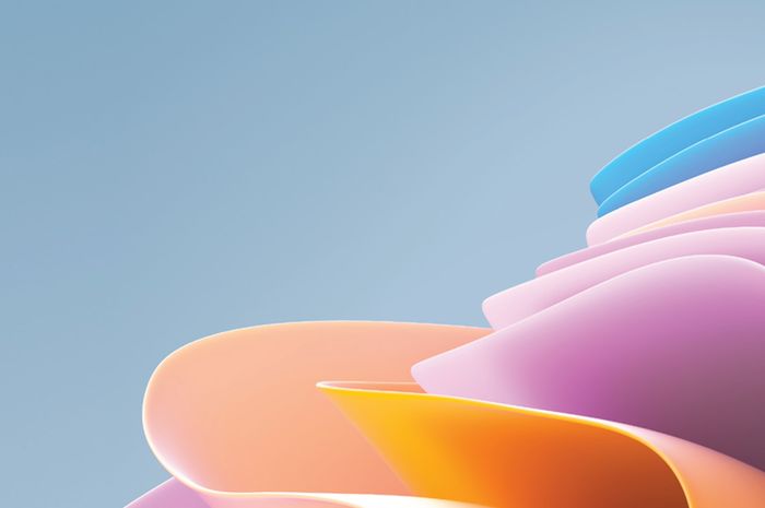 Apa saja Perbedaan Windows 11 SE dan Windows 11 Biasa? - Info Komputer