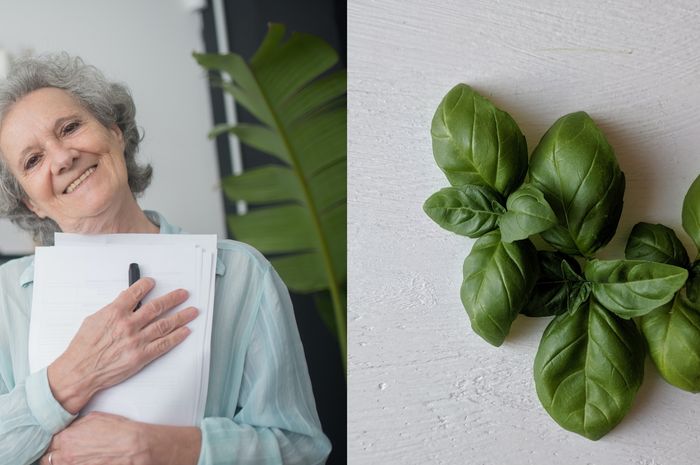 Ini Rahasia Rambut Beruban Bisa Kembali Hitam Bersinar, Modalnya Cuma Daun Kemangi yang Diolah ...