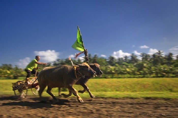 4 Lagu Daerah Jawa Timur Lengkap dengan Lirik dan Maknanya, Kamu Sudah ...