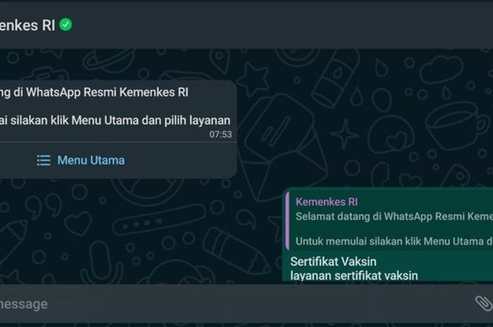 Makin Mudah Diakses Unduh Sertifikat Vaksin Covid 19 Kini Bisa Lewat