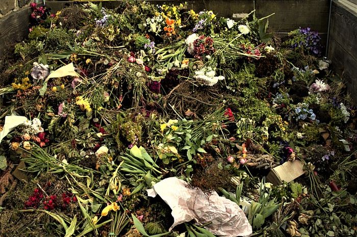 Tidak Semua Sampah Bisa Dibuat Kompos, Ada Bahan-bahan yang Malah Tidak ... Tidak Semua Sampah Bisa Dibuat Kompos, Ada Bahan-bahan yang Malah Tidak ...
