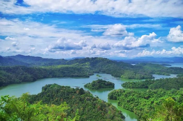 Cari Jawaban Kelas 4 SD Tema 4, Mengapa Hutan di Kalimantan Terus ...