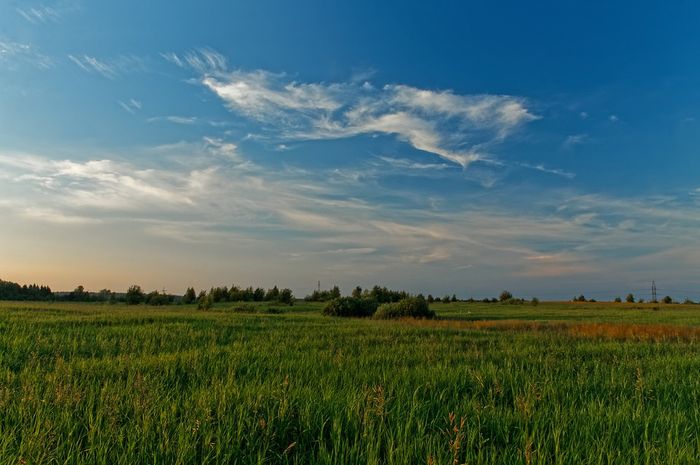 Mengenal 5 Contoh Ekosistem Buatan dan Penjelasannya - Kids