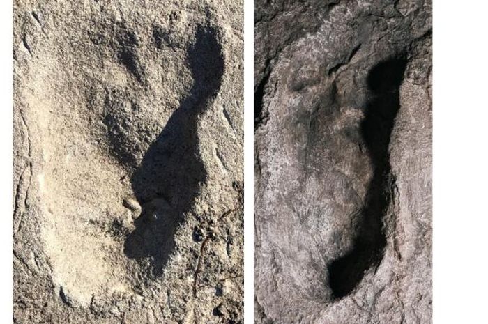 Jejak Kaki Misterius di Tanzania, Diduga Milik Nenek Moyang Manusia ...