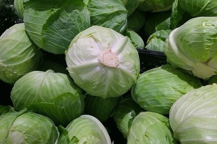 Enggak Asing bagi Orang Indonesia, Inilah 5 Manfaat Mengonsumsi Daun ...