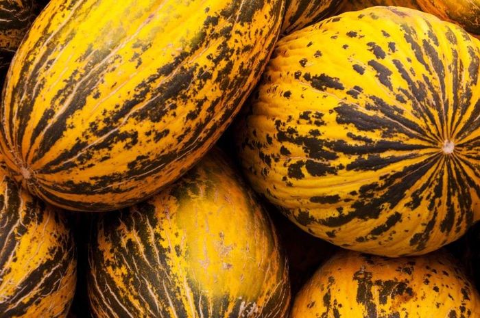 Terkenal dari Cerita Timun Mas, Ternyata Buah Ini Miliki 5 Manfaat ...