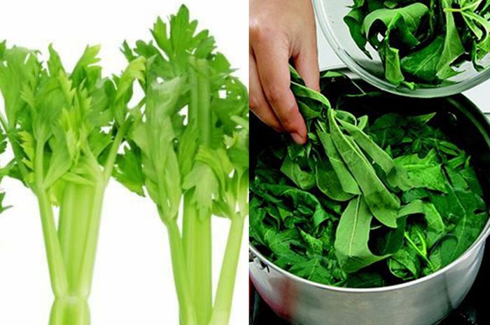 BERITA POPULER : Dari Manfaat Rajin Kunyah Daun Seledri Setiap Hari ... BERITA POPULER : Dari Manfaat Rajin Kunyah Daun Seledri Setiap Hari ...