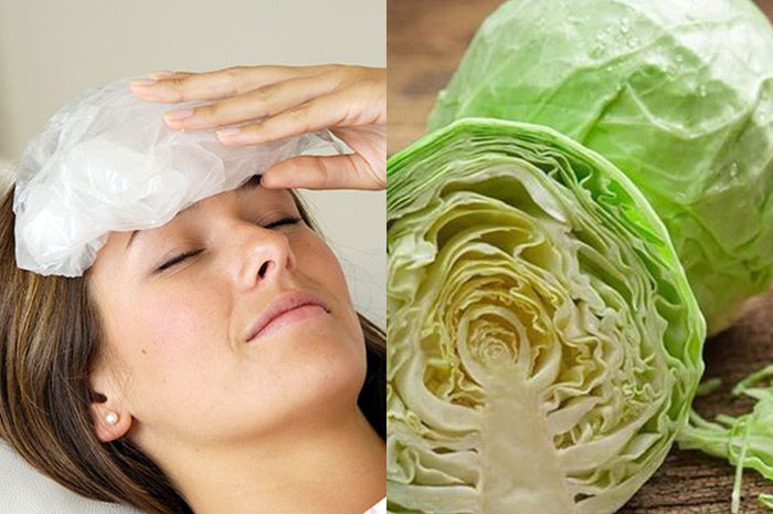 Obat Saja Kalah Tokcer! Coba Kompres Kepala dengan Sayur Kol Segar ...