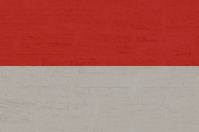 Sejarah Singkat Bendera Merah Putih sebagai Bendera Negara Indonesia ...