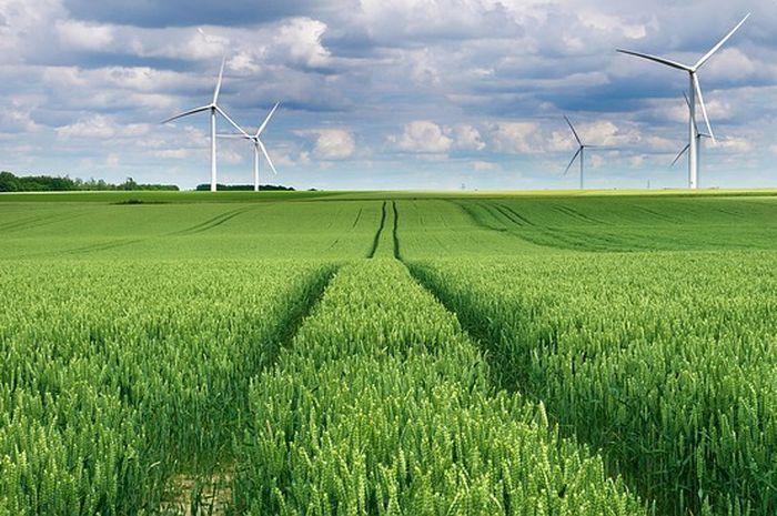 Angin: Pengertian, Sifat, Faktor Terjadinya, dan Manfaat - Kids