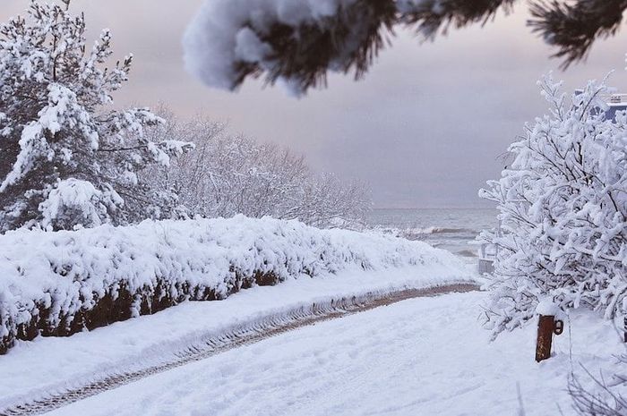 Seperti Apa Bentuk Salju? - Adjar