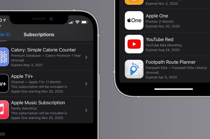 Cara Cek Status Berlangganan Apple Music, Spotify, Netflix,dll di App ...