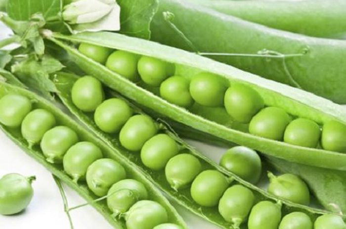 Coba Rebus Kacang Polong 15 Menit Lalu Dimakan, Jangan Kaget Perubahan ...