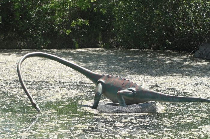 100 Tahun Jadi Misteri hingga Bikin Ilmuwan Kebingungan, Sebenarnya ...