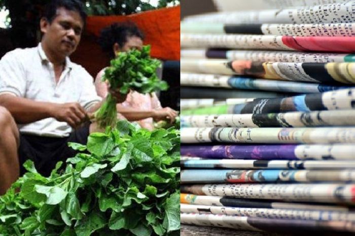 Untung Punya Tetangga Pedagang Di Pasar, Kalau Mau Bayam Tahan Lama ... Untung Punya Tetangga Pedagang Di Pasar, Kalau Mau Bayam Tahan Lama ...