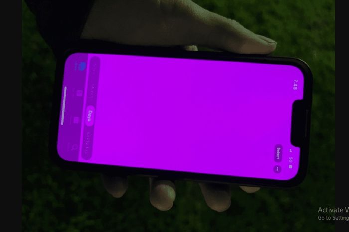 Apple Jelaskan Penyebab Layar Pink di iPhone 13, Karena Software ...