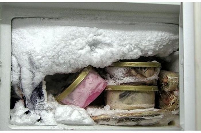 Pantas Bunga Es Sudah Penuh Padahal Baru Kemarin Bersih-bersih Freezer ...
