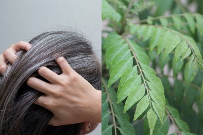 100 Kali Lebih Hebat dari Semir, Cara Ampuh Hilangkan Uban di Kepala Cuma dengan Bahan Mirip ...