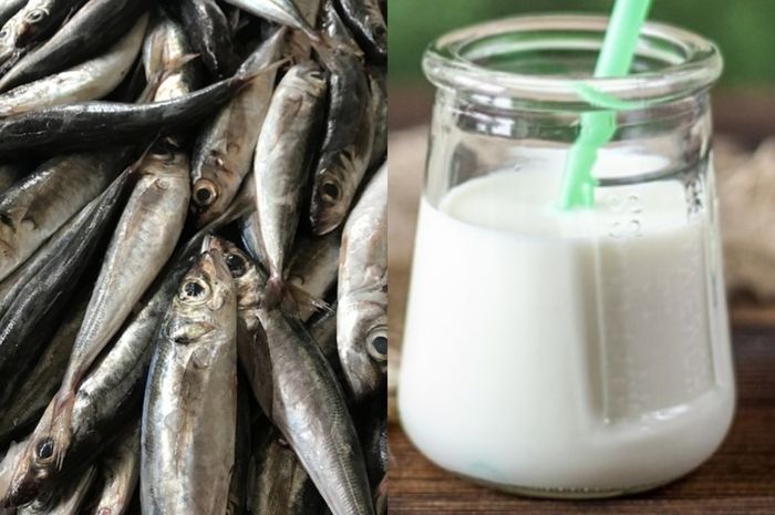 Heran Lihat Tetangga Selalu Merendam Ikan dengan Susu Sebelum Digoreng ...