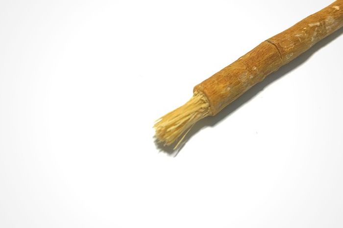 Digunakan Sejak Zaman Dahulu, Inilah 5 Manfaat Siwak dengan Kandungan ...