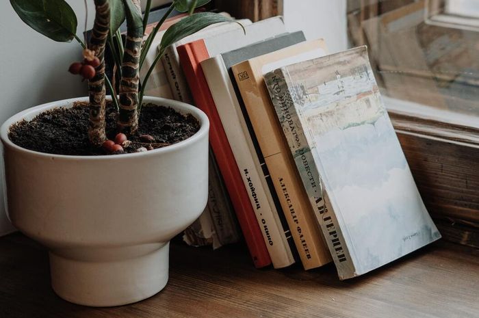 Jangan Sampai Merusak Buku,Ini 5 Cara Ampuh Usir Kutu Buku di Rumah - Bobo