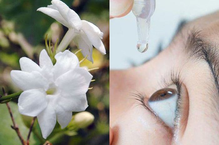 Tahan Dulu Beli Obat Tetes Mata! Sakit Mata yang Menyiksa Bisa Cepat ...