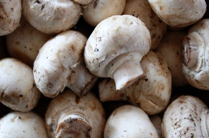 Cocok Dijadikan Lauk, Inilah 6 Jenis Jamur yang Bisa Dimakan, Sudah ...