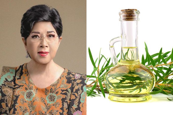 Lihat Mertua Masih Punya Rambut Hitam Legam, Ternyata Rahasianya Cuma Minyak Kayu Putih, Begini ...