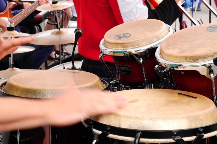 Alat Musik Membranofon: Penjelasan dan Contohnya - Kids