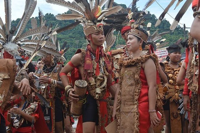 Budaya Suku Dayak: Asal Usul, Kesenian, dan Kepercayaan - Bobo