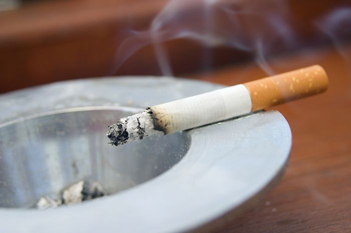 Pahami Bahaya Asap Rokok dan Hilangkan Asap serta Baunya dari Rumah ...