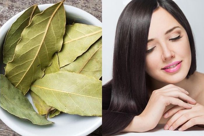 Heran Lihat Mertua Gak Punya Uban! Rahasianya Ternyata Cuma Rebus Daun ... Heran Lihat Mertua Gak Punya Uban! Rahasianya Ternyata Cuma Rebus Daun ...