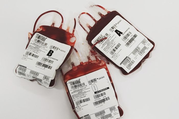 Hanya Ada 50 Orang di Dunia, Apa Itu Golongan Darah Emas? - Bobo