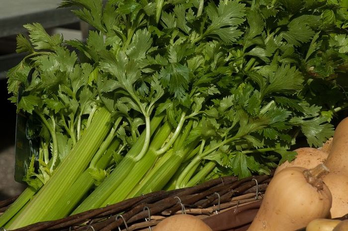 Hentikan Langsung Buang! Daun Seledri dalam Sayur Sop Ternyata Bisa ...