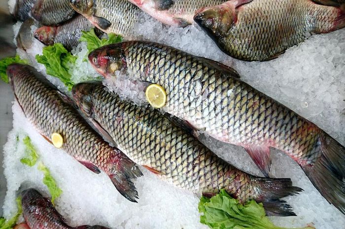 Bisa Awet Hingga 4 Bulan, Ini 5 Langkah Simpan Ikan Segar - Bobo