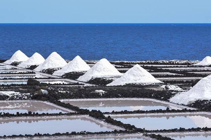 Bagaimana Proses Pembuatan Garam dari Air Laut? #AkuBacaAkuTahu - Kids
