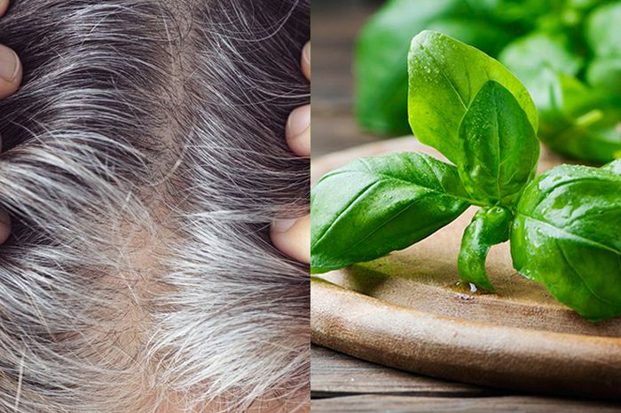 Nyesel Habis Biaya Untuk Semir Pakai Merek Terkenal, Cuma Modal Daun Kemangi Bisa Bikin Rambut ...
