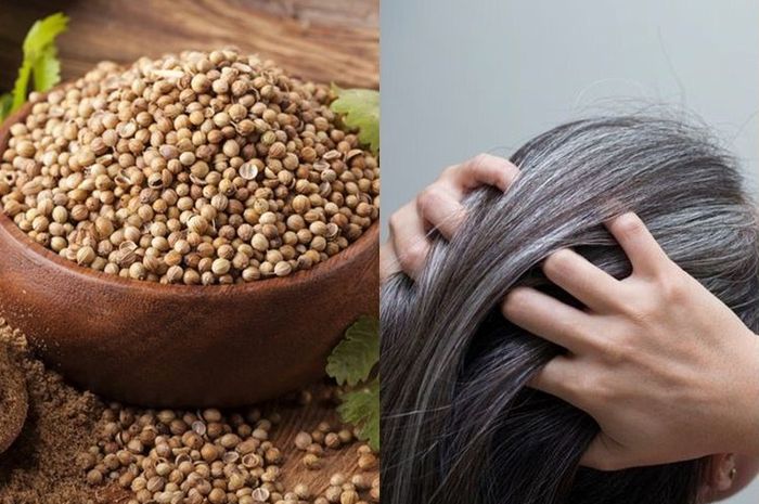 Rambut Bisa Hitam Kayak Muda Lagi, Gak Nyangka Modal Pakai Ketumbar ... Rambut Bisa Hitam Kayak Muda Lagi, Gak Nyangka Modal Pakai Ketumbar ...