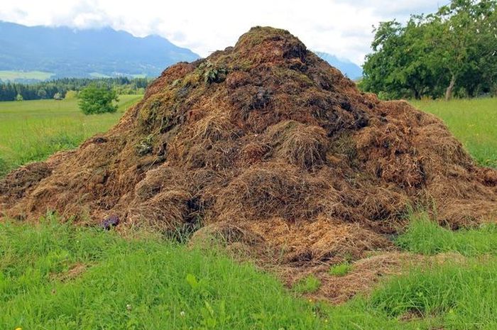 Jenis-Jenis Limbah Pertanian Beserta Contohnya - Bobo