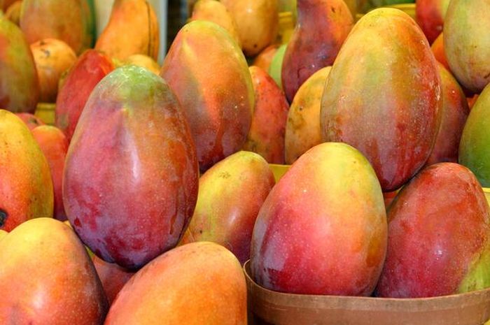 Melimpah di Indonesia, Begini Cara Memilih Mangga yang Manis dan Segar ...