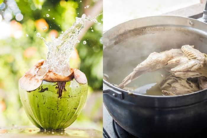 Yang Punya Pohon Kelapa Kok Bisa Gak Tahu, Daging Ayam Bisa Cepat Empuk ...