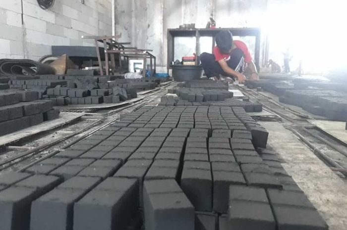 Briket Ramah Lingkungan dari Tempurung Kelapa Jadi Inovasi Mahasiswa ...