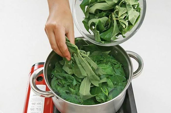 Satu Indonesia Nyesel Baru Tahu, Jangan Masak Daun Singkong Jika Ada ... Satu Indonesia Nyesel Baru Tahu, Jangan Masak Daun Singkong Jika Ada ...