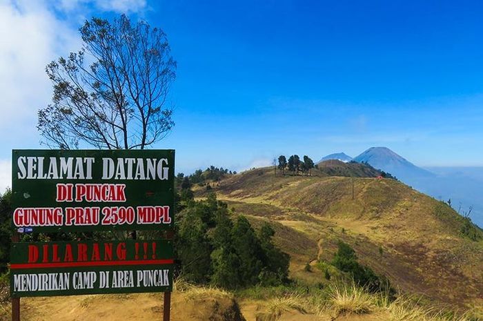 Apa Arti Singkatan MDPL? - Adjar